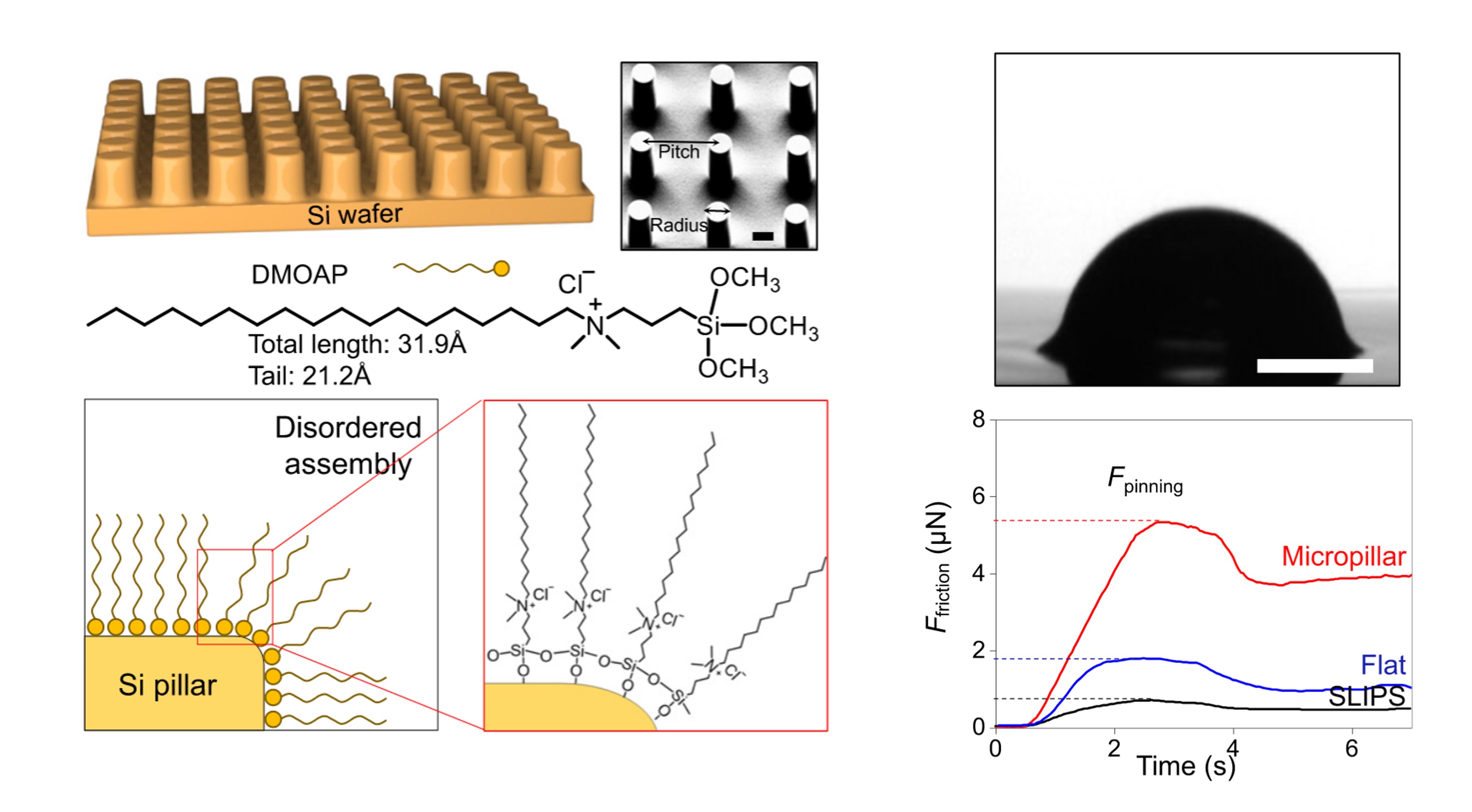 Functional Microstructured Surfaces | Shucong Li (李姝聪)